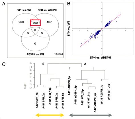 Modulation Of Gene Expression Profile In A431sph Following Microarray
