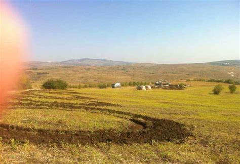 Cornel Dinicu Patronul De La Ferma Dacilor ”este Spovedania Publică