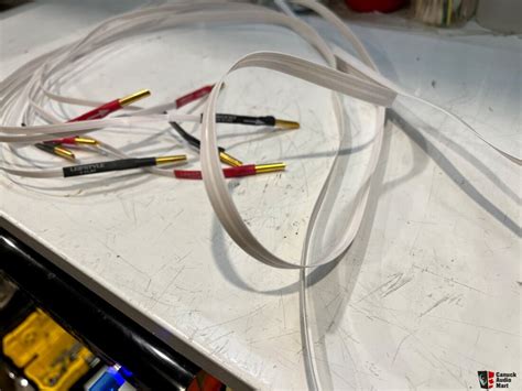 Nordost speaker cable 2m Photo #4210560 - US Audio Mart