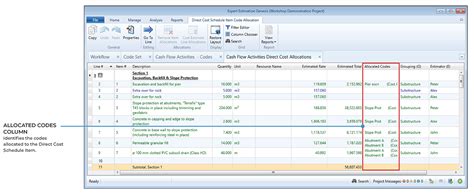 Code Set Direct Cost Allocations