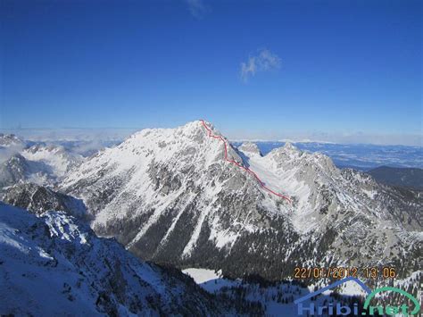 Zelenjak 2028 M Slika 186553