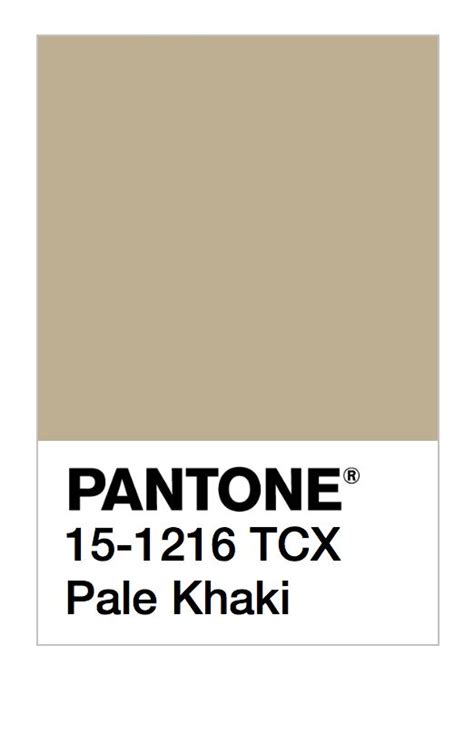 Pantone Colors Beige Palette
