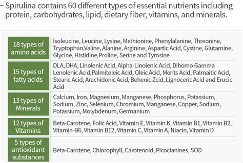 Atomy Pure Spirulina Product Review