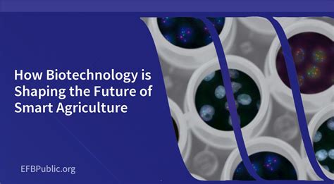 How Biotechnology Is Shaping The Future Of Smart Agriculture