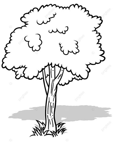 Narra Tree Drawing