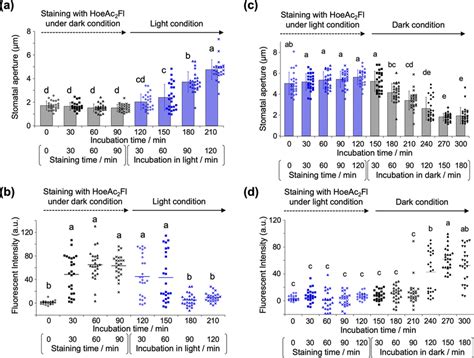 A Stomatal Aperture Of Col 0 During The Staining Process With