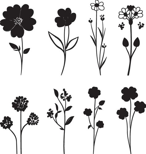 A Collection Of Black And White Flower Illustrations 56704053 Vector