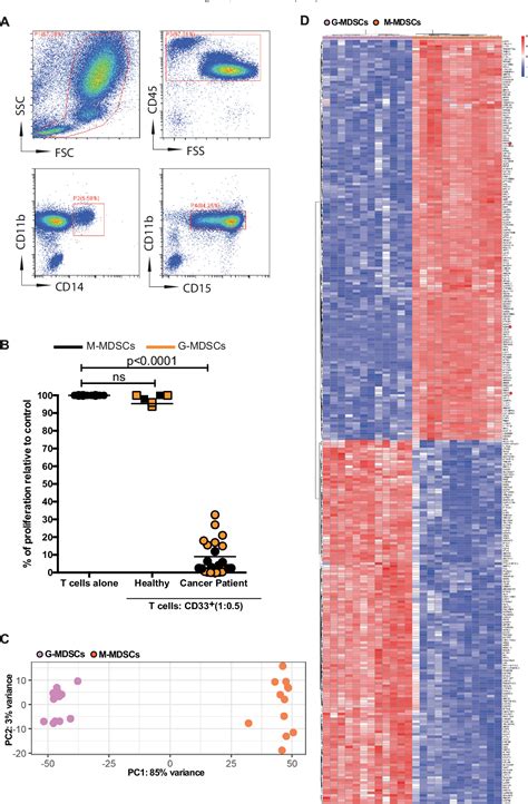 Figure 1 From Mdsc Targeting With Gemtuzumab Ozogamicin Restores T Cell