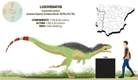Megafauna Lusovenator By Paleotuga On Deviantart