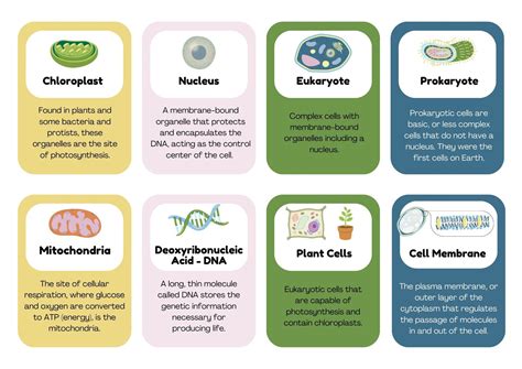 Flashcards Cell Biology
