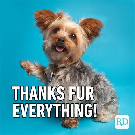 30 Funny Thank You Memes [2023] Shareable Thank You Memes