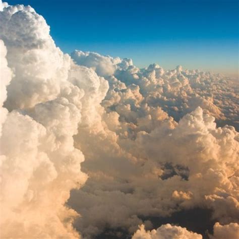 Sky Net Browser By Daniel Gonzalez