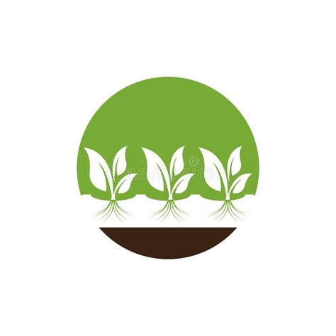 Hydroponic Logo Vector Template Illustration Stock Illustration Illustration Of Grow Organic