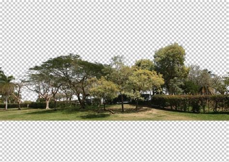 View From By Gobotree Including Cutout Plants Tree Vegetation Photoshop Landscape