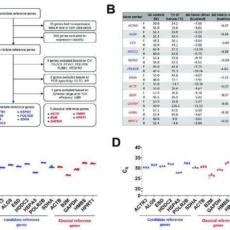 Assay Validation For Candidate Reference Genes And The Classical Download Scientific Diagram