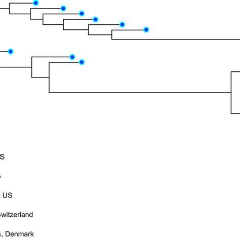 Phylogenomic Analysis Reveals A Lack Of Global Population Structuring