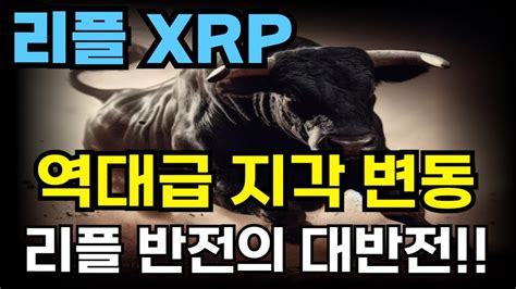 리플 역대급 반전이 나왔습니다꼭 확인 하세요 Youtube
