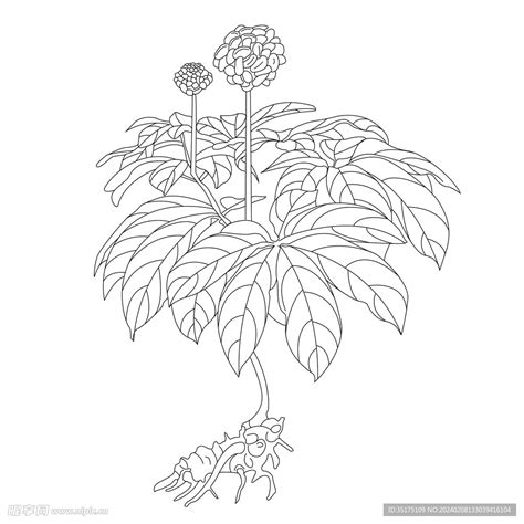 三七设计图图片素材其他设计图库昵图网