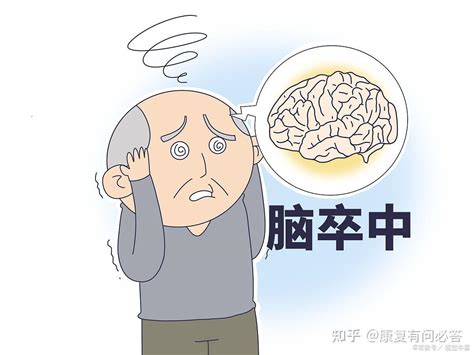 脑卒中康复：本体感觉训练与核心稳定性训练对脑卒中患者的影响 知乎