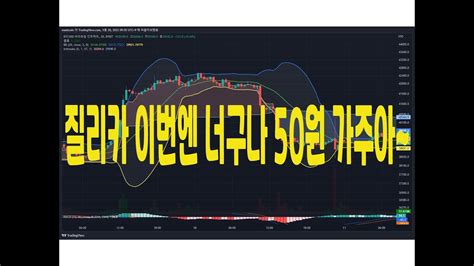 마동석코인 마코 질리카 이번엔 너구나 50원 가주아~ 이더리움 비트코인가이드 비트코인 알트코인 차트분석 코린이 나스닥 리플 알트코인추천 도지코인 질리카