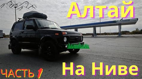 АЛТАЙ 2023 - НА НИВЕ - ЧАСТЬ 1 - МНОГО ДОРОГИ #алтай #дорога # ...