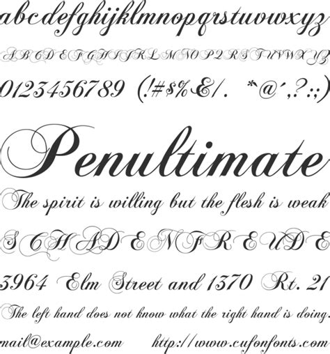 Chopin Script Font Download Free For Desktop And Webfont