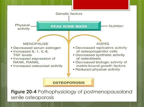 In The Name Of God Ppt Download
