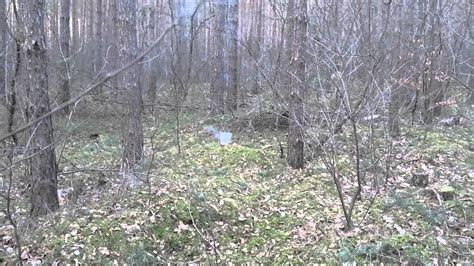 Fp3 Small Vs Fp3 Youtube