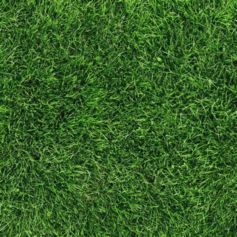 Turf Grass Liquid Concepts