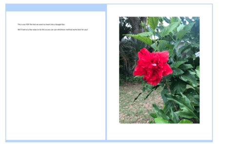 How To Insert A PDF Into Google Doc Updated
