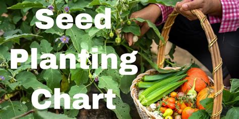 Vegetable Garden Planting Chart