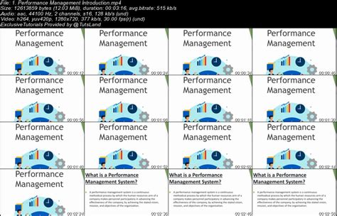 Performance Management Process And Implementation With Example Softarchive