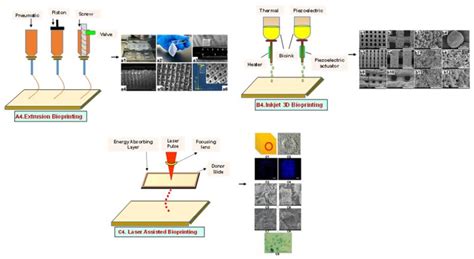 Scaffold Fabrication Techniques For Bone Tissue Engineering