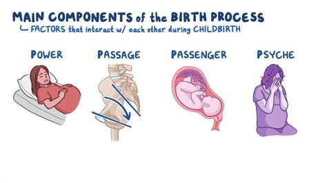 Human Born Process
