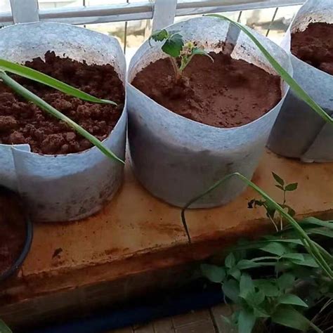 1pc 30cm 11 8in Non Woven Planting Bag Felt Planting Bag Gallon Bag Tree Planting Bag Plant