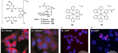 Chemical Structure Of Glycoconjugates 80 84 And Confocal Microscopy
