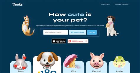 Cuteness Score From Veeks Image Editing Explore 10000 Ai Tools And Explore Best Alternatives