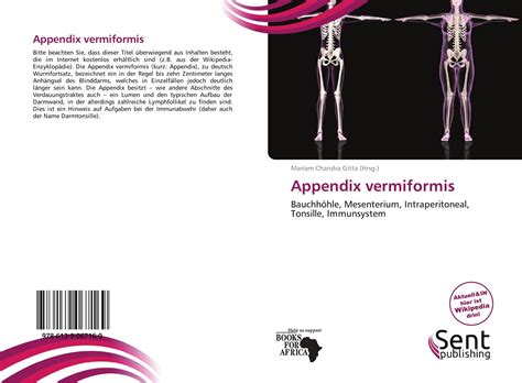 Search Results For Appendix