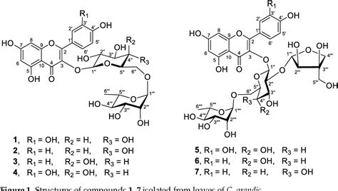 figure 1 from lc qtof ms ms based molecular networking approach for the