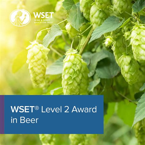 Wset Level 2 Award In Beer 3 Week Course Manchester Northern Wine School
