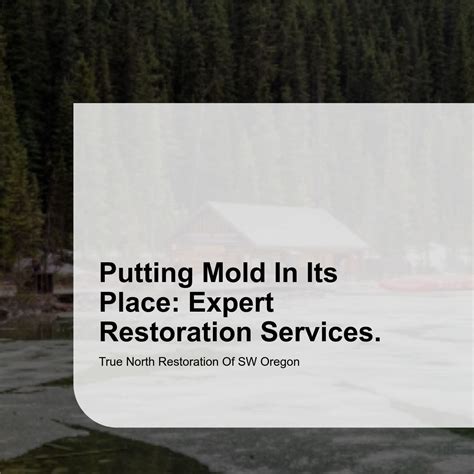 Noah Witt On Linkedin Putting Mold In Its Place Expert Restoration Services But Its Not Just…