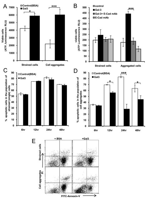 Galectin 3 Induced Cell Aggregation Enhances Cell Survival By Avoiding