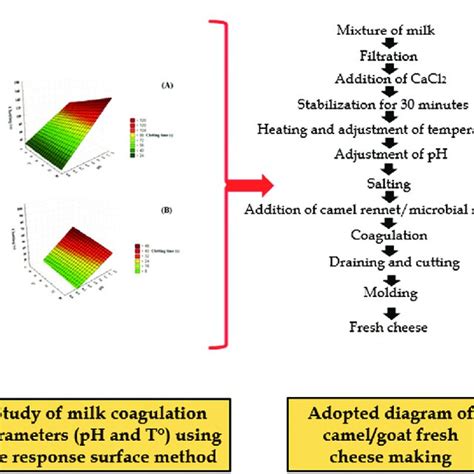 Experimental Diagram Of Cheese Download Scientific Diagram