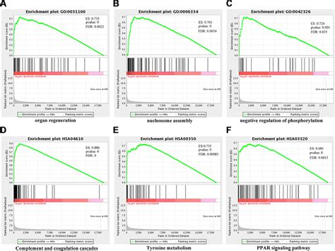 Gene Set Enrichment Analysis Gsea For Differentially Expressed Mrnas