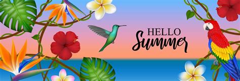 Hello Summer Banner With Tropical Flowers Birds And Leaves 3143987