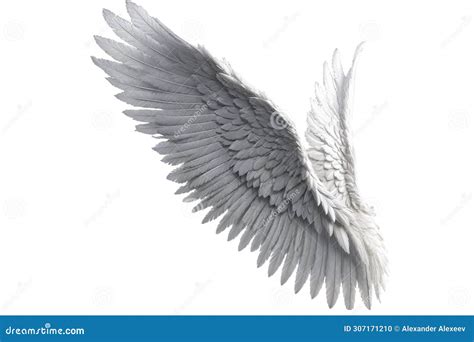 Angel Wings Side Profile Buy Zerodis Large Angel Wings 3d Fairy Wings