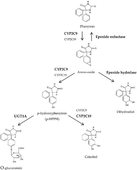 Table 1 From Role Of Cyp2c9 Cyp2c19 And Ephx Polymorphism In The