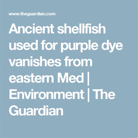 Ancient Shellfish Used For Purple Dye Vanishes From Eastern Med