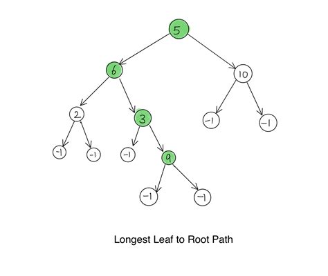 Longest Leaf To Root Path Naukri Code 360