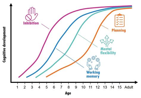 Unleashing Your Inner Superpowers The Control Center Of Your Brain